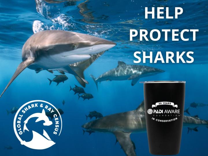 AWARE WEEK | PADI Aware